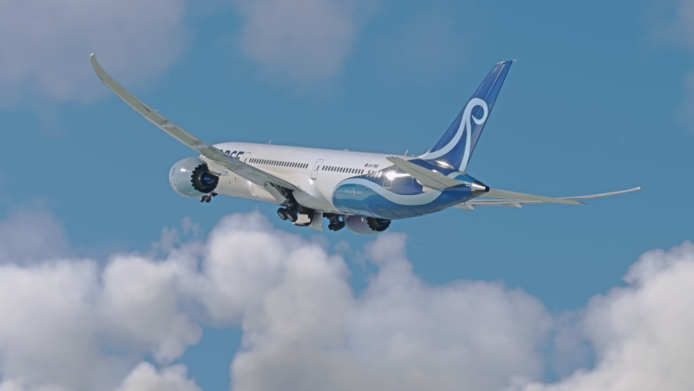 Horizon Simulations Releases 787-9 MSFS 2024 Update - FSNews